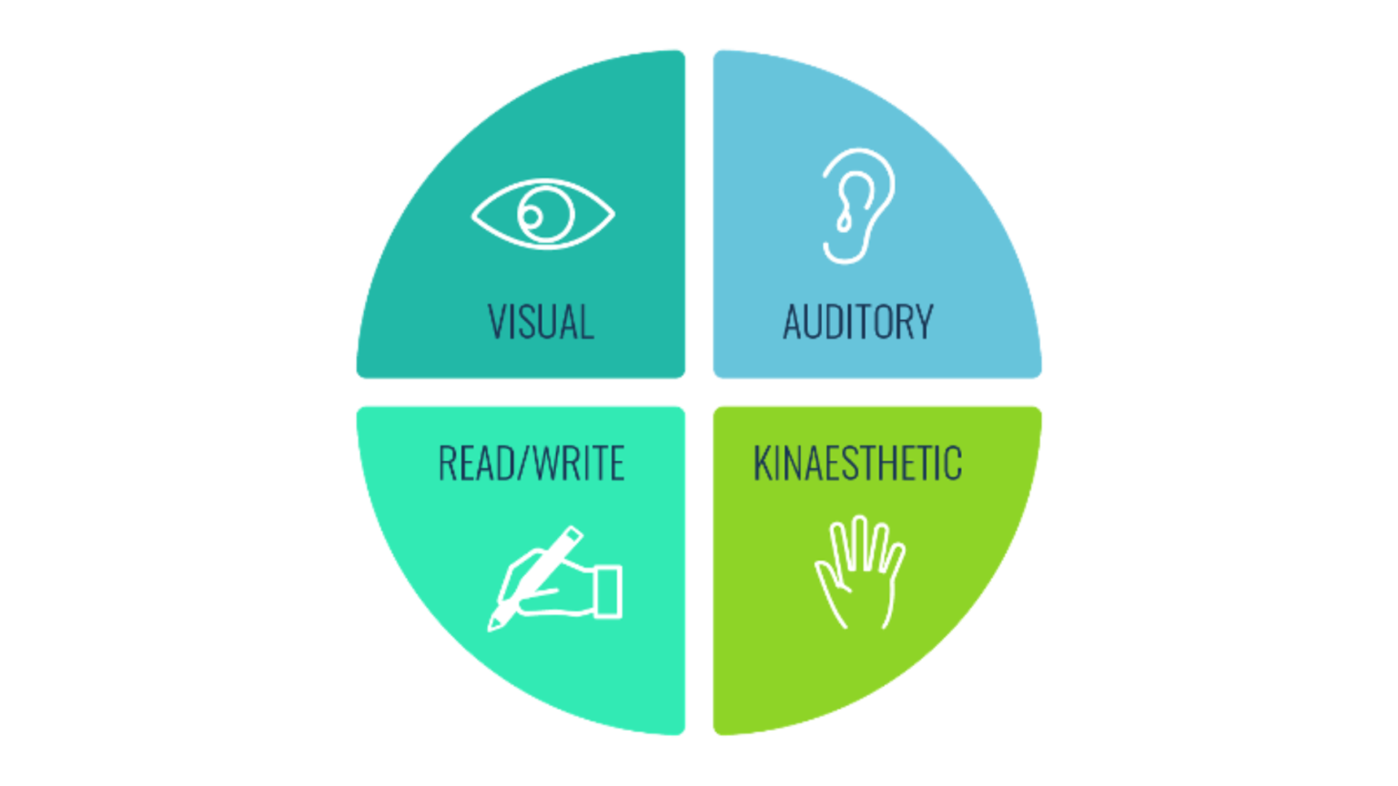 Focus on Student Learning Styles: Why They’re Crucial for Student ...