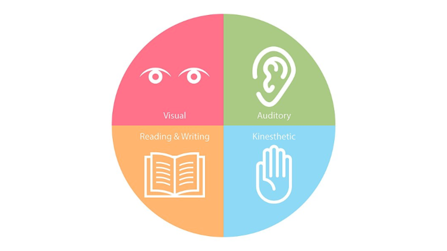 Focus on Student Learning Styles: Why They’re Crucial for Student ...